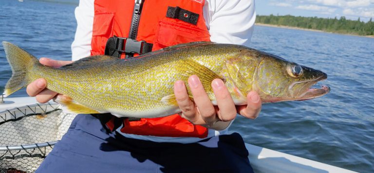 Top 10 Ice Fishing Lakes in Alberta: Best Spots for Winter Angling ...